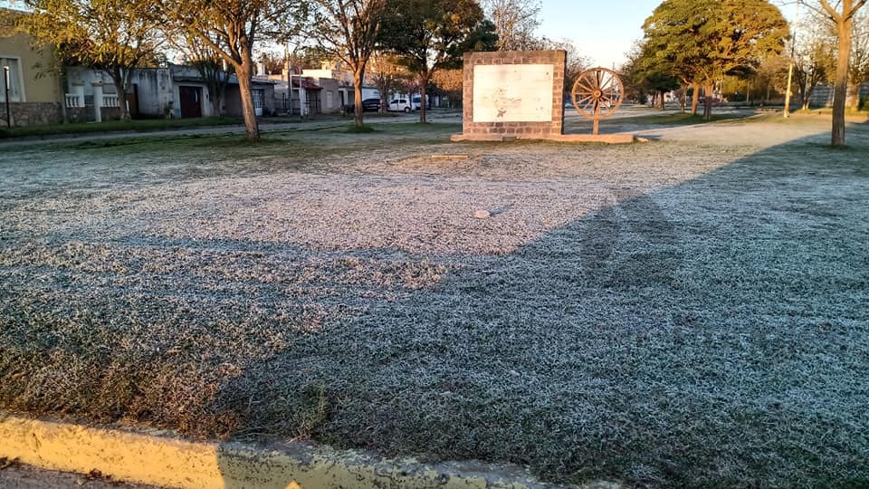 Importante helada en la ciudad